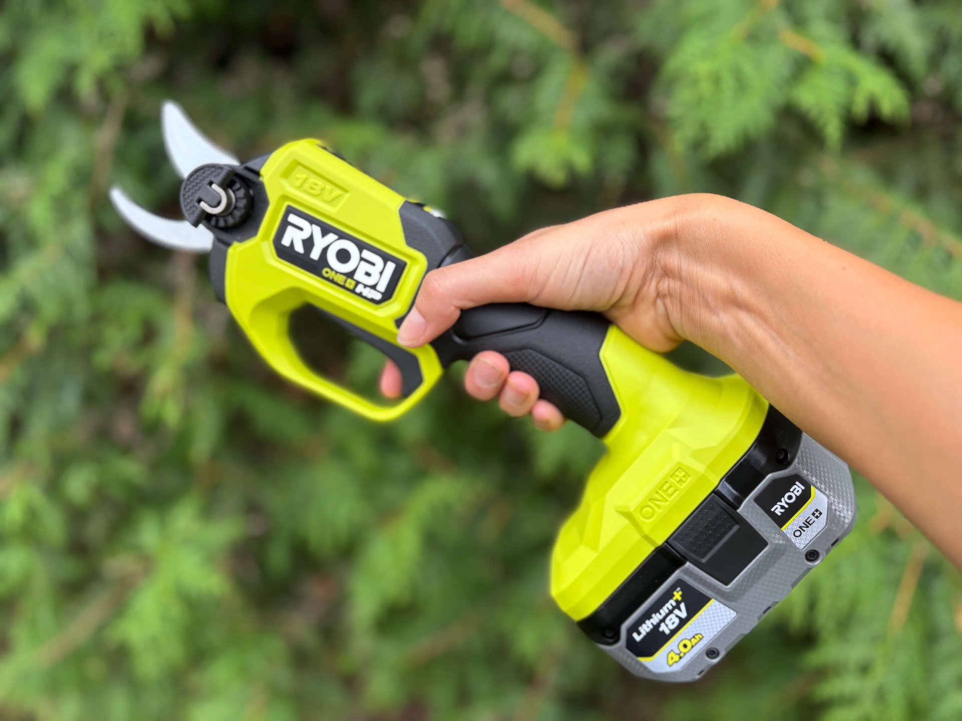 TEST: Ryobi RY18SCXA-0 Akku Grensaks anmeldelse | Havekalenderen
